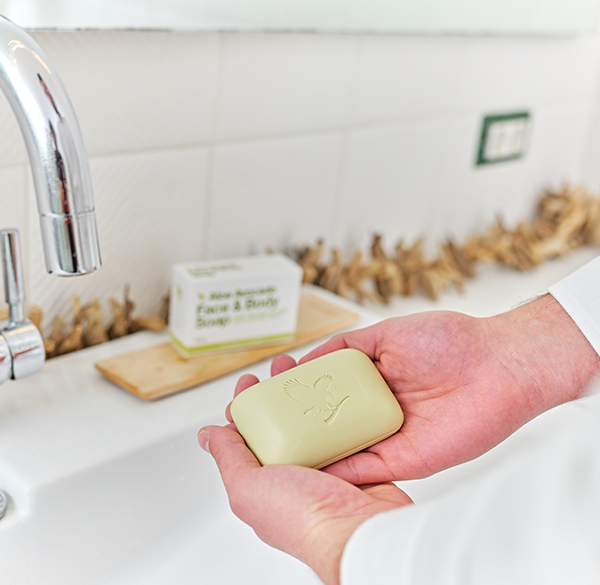 Aloe Avocado Face & Body Soap | Forever Living Products